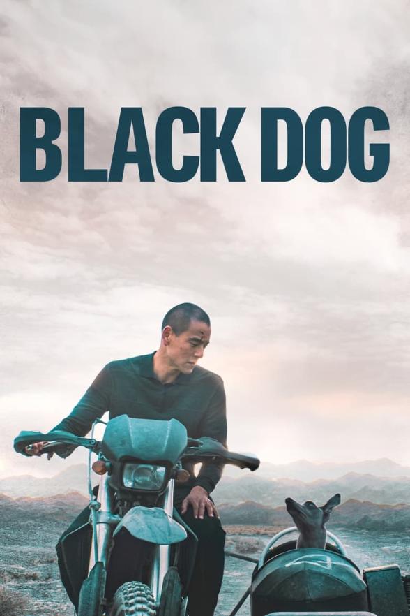 Black Dog | Australian Classification