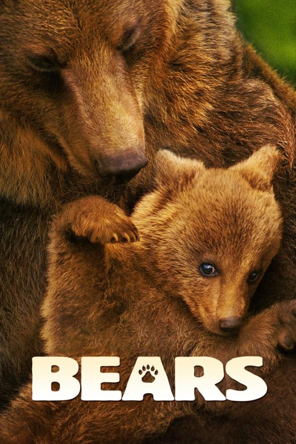 BEARS | Australian Classification